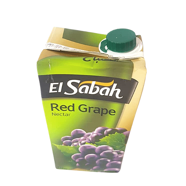 Reaktor boisson energisante – 500ml – New Life Group